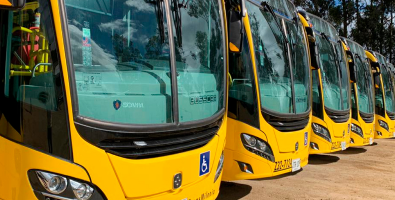 ¿Sabes cuál es la diferencia entre los buses amarillos y azules del ...