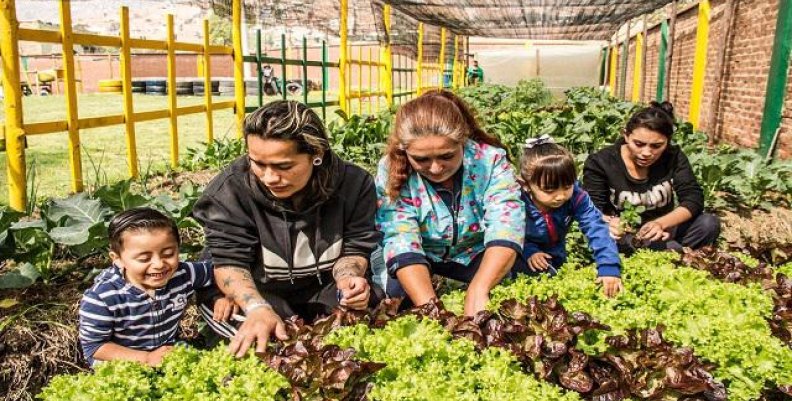 ¿Cómo crear una huerta en el patio de la casa? - Capital