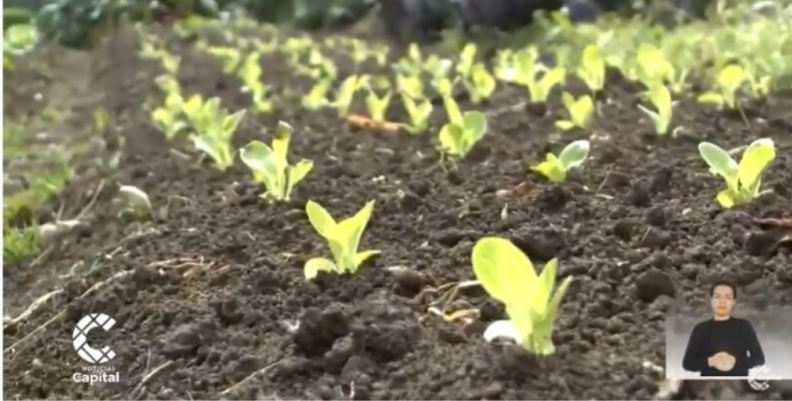 Conozca el programa Usme Compra Usme - Capital