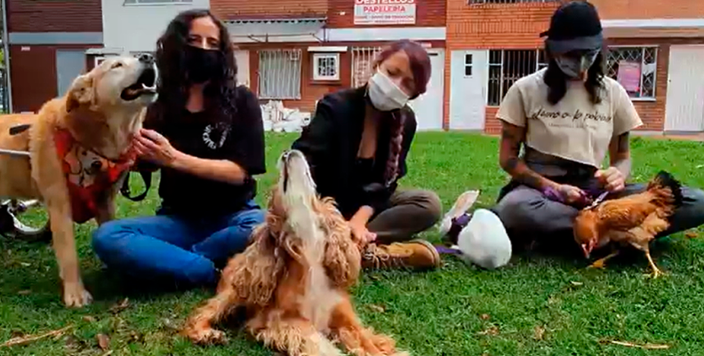 “El Perriátrico”, una iniciativa con corazón animal | #Cuidadanos - Capital