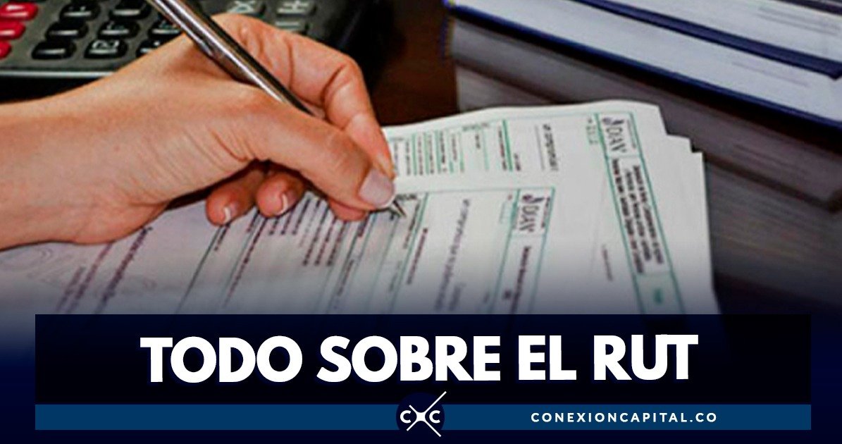 Guía práctica para sacar el RUT - Capital